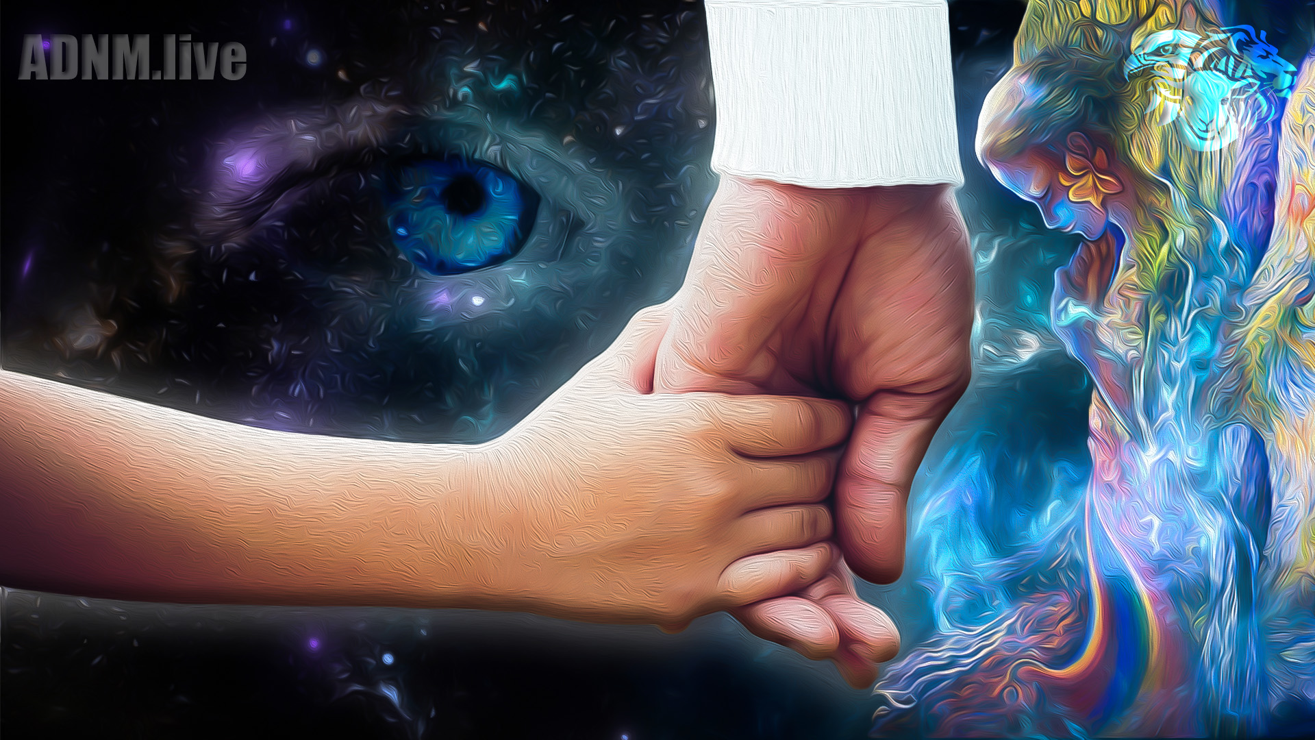 ADNM - Ambassadeurs Du Nouveau Monde